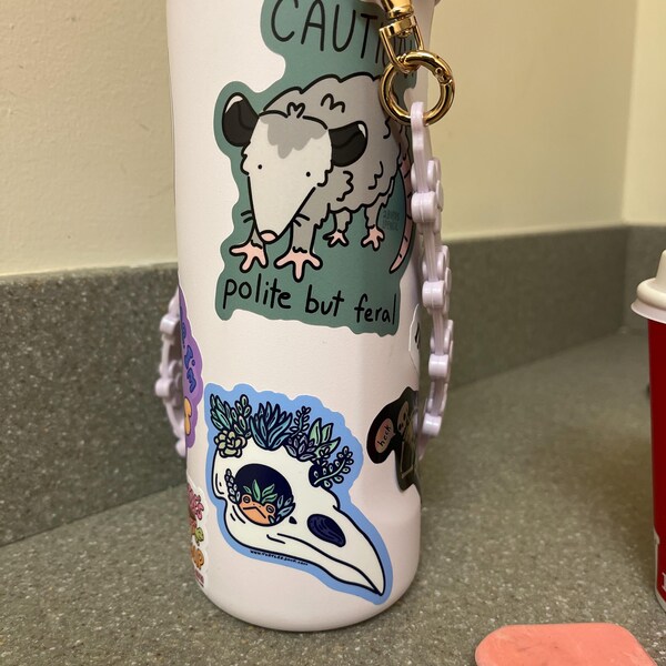 Pool Party, Animals, Sticker Sheet, Vinyl Decal, Floaties, Summer, Cute ...