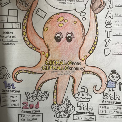 Top 200 Drugs DIGITAL COLORING BOOK - Etsy