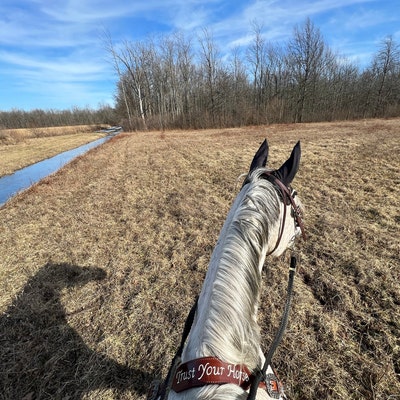 Bucking Bull Sticker Vinyl Decal Bull Riding Rodeo Sticker Roughstock ...
