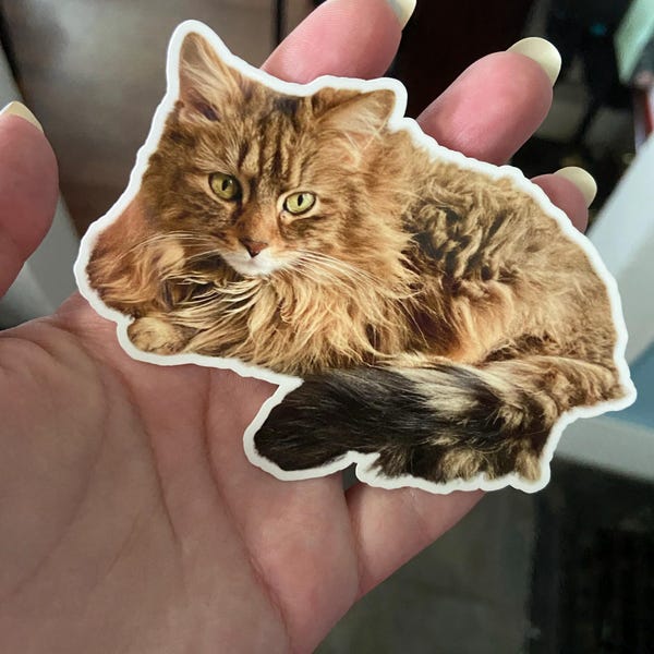 Custom Pet Stickers, Dog Mom Stickers, Personalized Animal Sticker - Etsy