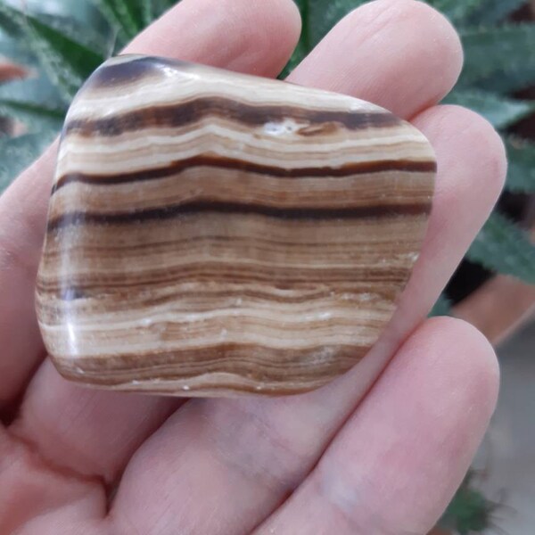 Chocolate Calcite Crystal - Tumbled Stone Polished Gemstone / Abundance Wishes Growth / Brown ...