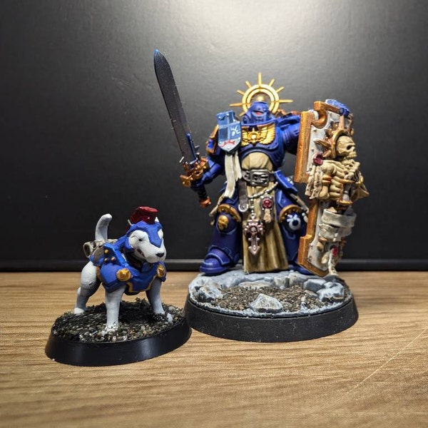 Turtle Cleric, by Goons Dnd, Dungeon and Dragon Mini, Tabletop ...