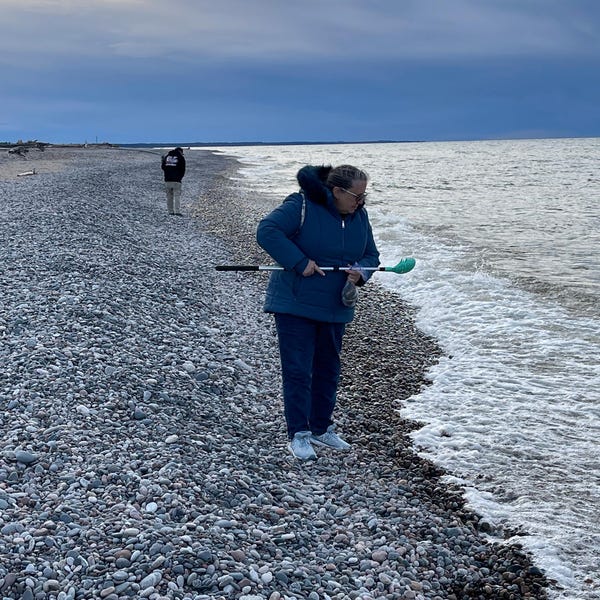 Shell Scoop, Rock Hunt Scoop, Shark Tooth Sifter, Sand Scoop, Rock ...