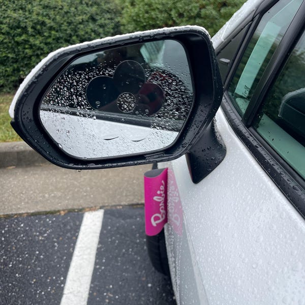 Daisy Flower Mirror Peeker 2pcs Anti Rain Anti Fog Car Decal Discreet ...