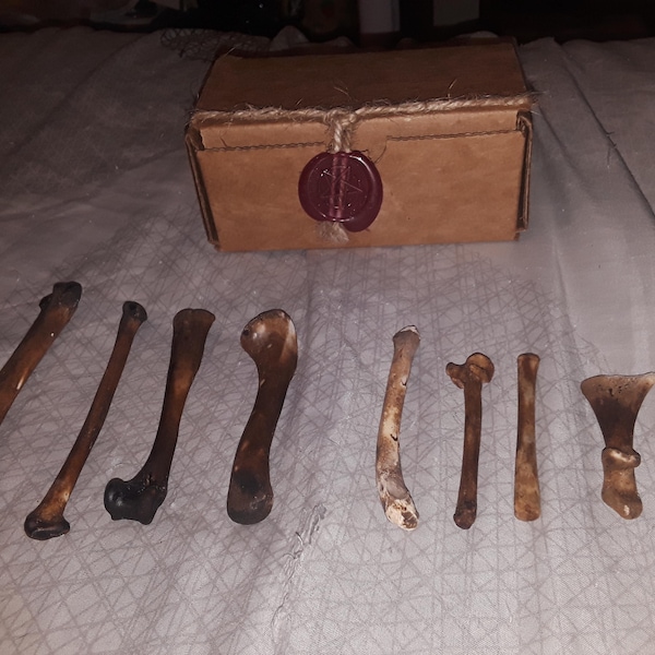 Aged Bone Set for Divination - Throwing Bones Set - Bones for Craft ...