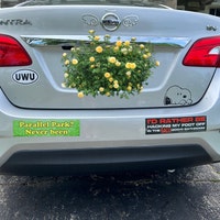 Dog Peeking Decal, Dog Peek a Boo Decal, Dog Decal, Vintage Dog Decals ...