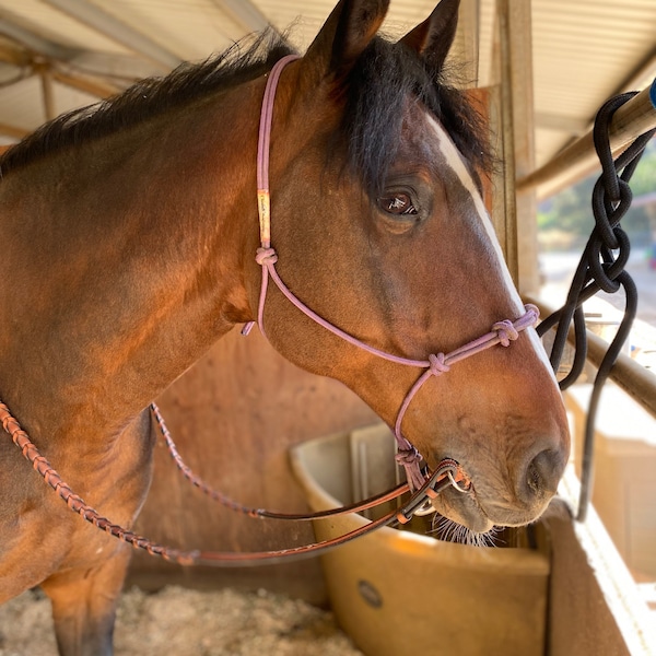 Leather Bridle-less Bit - Etsy