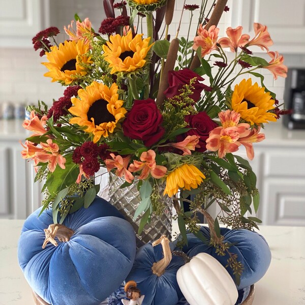 NEW Color for 2024! Velvet Pumpkins With Real Dried Pumpkin Stems-warm ...