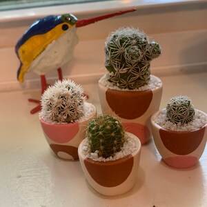 Copa Plant Propagation Vessel / Handmade Ceramic and | Etsy