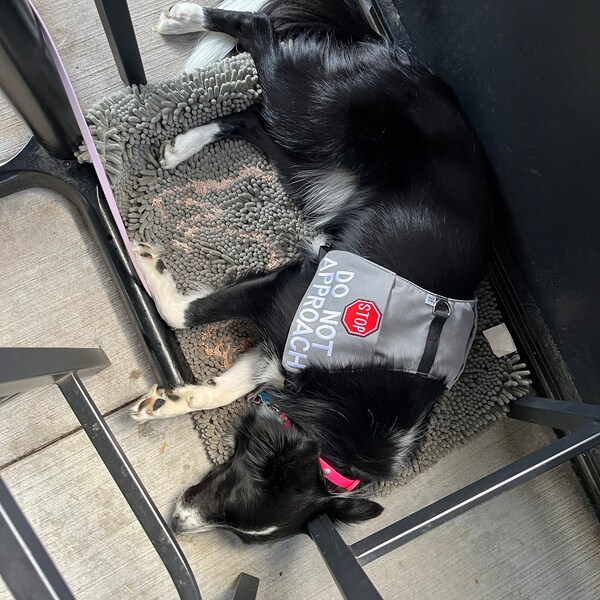 Vest (select Your Size), STOP Do Not Approach, Light Weight Sd Style ...