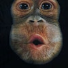 Monkey Belly Shirt / Costume Shirt Out of Pocket Humor T-shirt Funny ...