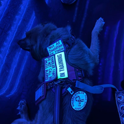 Personal Healthcare Companion Patch - Etsy