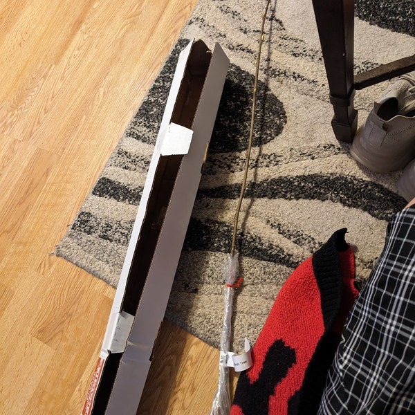 Canoe Birch Tree, Single Tree, Betula Papyrifera, Paper White Birch ...