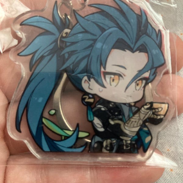 Chibi Ji Yan Jiyan Wuthering Waves WUWA Gaming Acrylic Keychain - Etsy