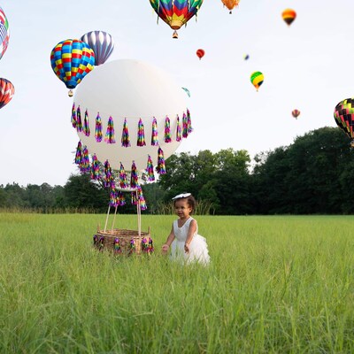 35 Hot Air Balloon Ballon Photo Overlays, Aerostat, Photography ...