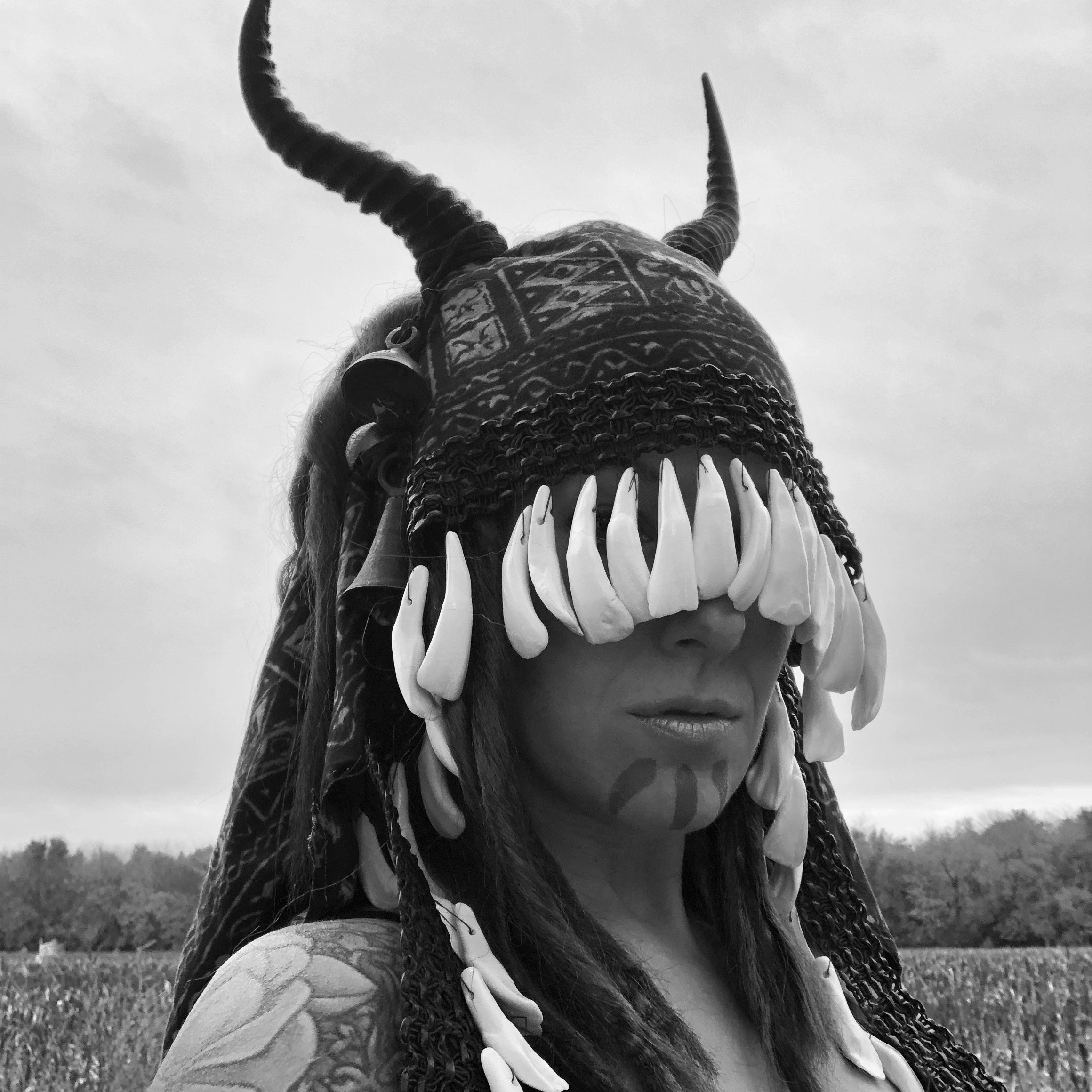 50 Real Animal Bone Buffalo Teeth Taxidermy Head Skull | Etsy