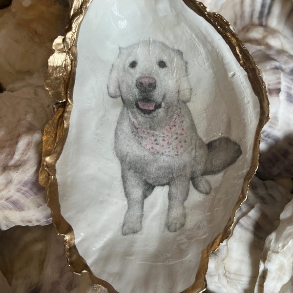 Custom Oyster Shell Town Sign or Names: Personalized Coastal Décor - Etsy