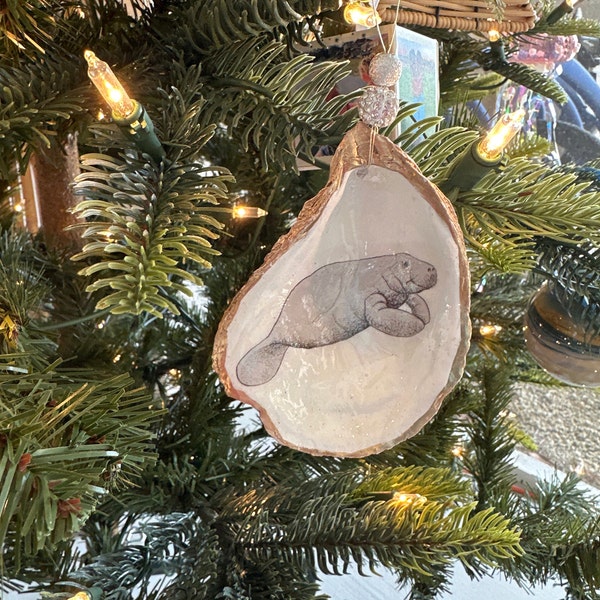 Manatee Oyster Shell Ornament. Manatee Shell Christmas Ornament ...