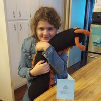 Giant African Millipede Plush, Millipede Toy, Plush Bug, Plush Insect ...