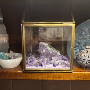 Cascarilla Powder efun/ Eggshell Powder tracking Number Included TWO ...