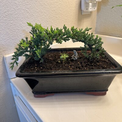 Ceramic Humidity / Drip Tray for Bonsai Pot 8 Inch Tray - Etsy