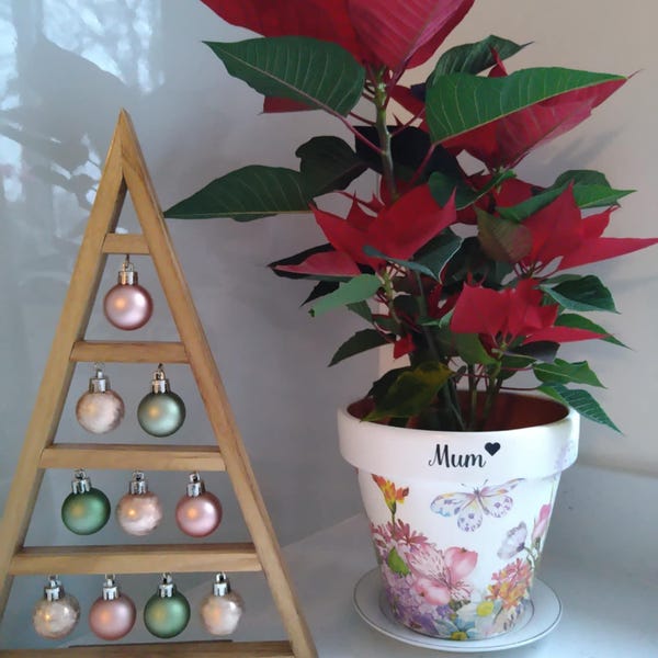 Mum Plant Pot, Plant Pot for Inside or Outside, Sunflower Plant Pot ...