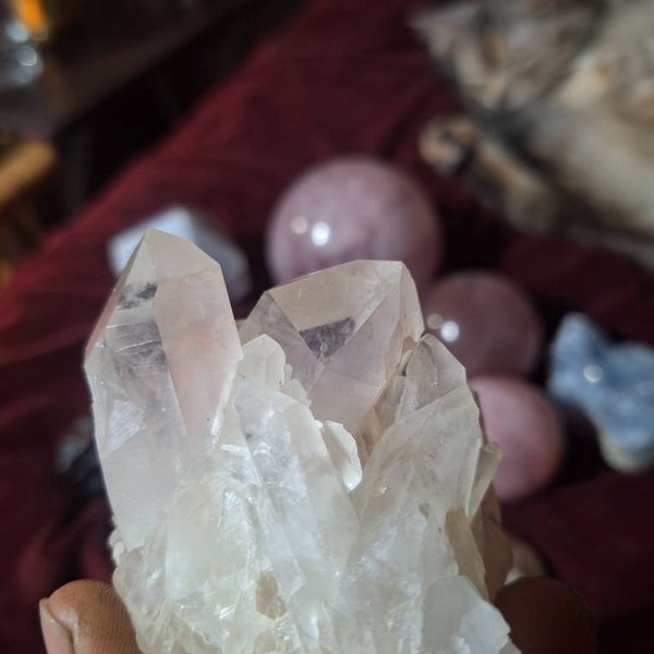 784g Dendrite Calcite Crystal Skull - Etsy
