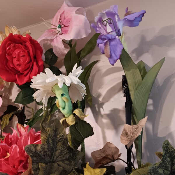 Alice in Wonderland (non) Talking Flowers "madame Iris" by Sutherland ...