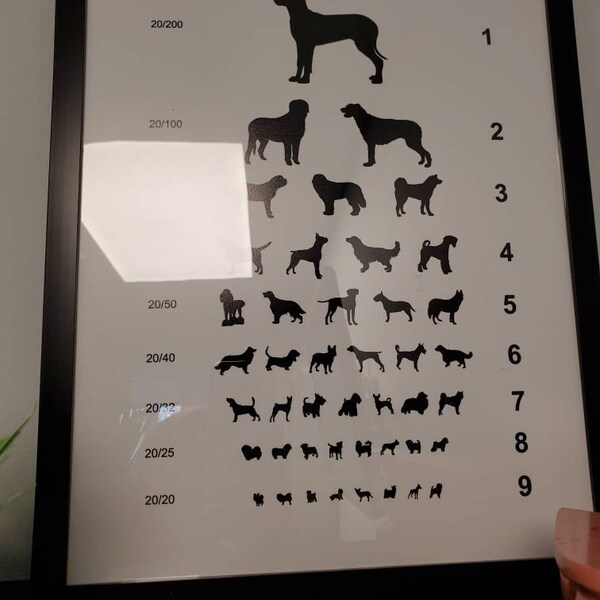 Dog Eye Chart Print, Vet Décor, Gift for Veterinarian, Vet Tech Gift ...