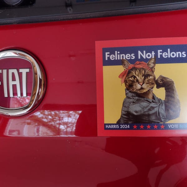 Felines Not Felons Car Magnet | Harris 2024 Magnet | Kamala Harris ...