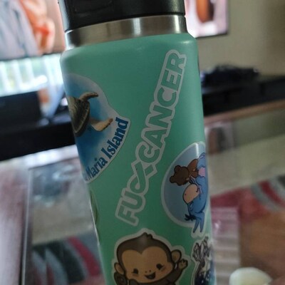 Fk Cancer V4 Sticker Decal - Etsy