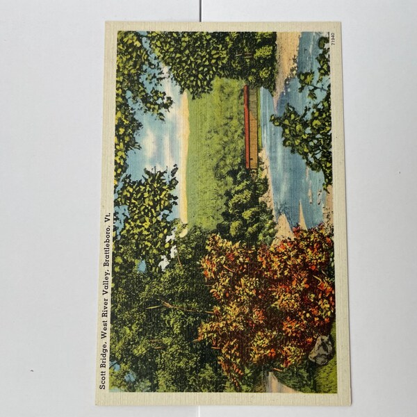 Vintage Comic Postcard, i'm Seeing Everything on This Trip, Risque ...