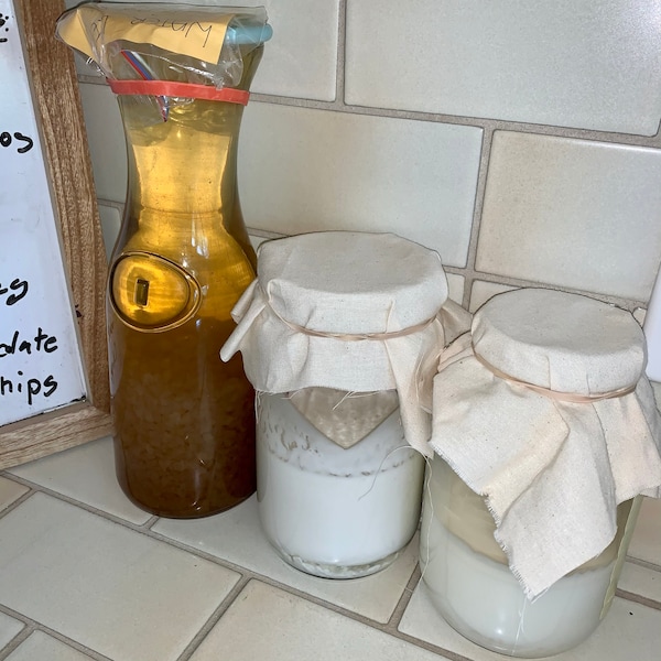 Kombucha Starter Kit- EVERYTHING You Need to Make Your First Batch of ...