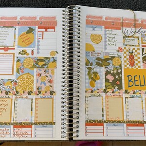 Seashell Summer Printable Planner Stickers, Printable Weekly Stickers ...