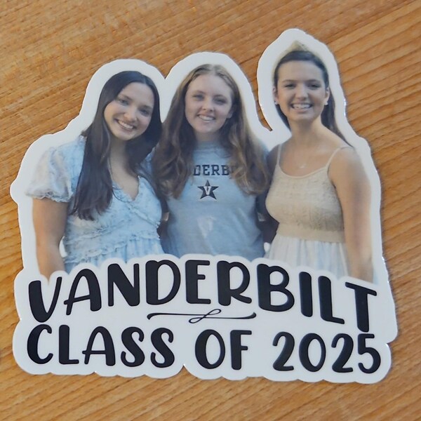 I Solemnly Swear to Drive Safely - Etsy