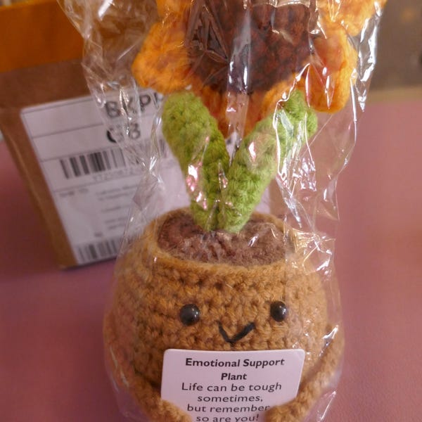Adorable Handmade Crochet Pumpkin,emotional Support Pumpkin,positive ...