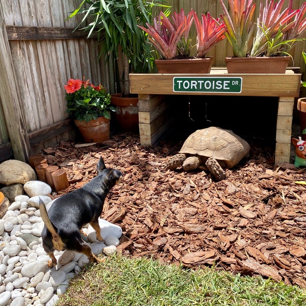 Tortoise, Tortoise Gift, Tortoise Sign, Tortoise Decor, Tortoise Lover ...