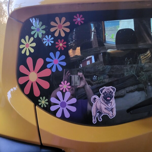 North American Bison Sticker Pack – Set of 6 Vinyl Decals – Perfect for ...