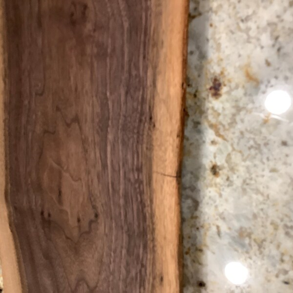 Black Walnut Shells, Squirrel Cut-organic Crafts, Art Projects, Jewelry ...