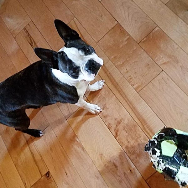 Personalized Leather Tool Roll Chisels Roll Custom Engraved Groomsmen ...