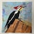 Pileated Woodpecker Paper Piecing Pattern - Etsy