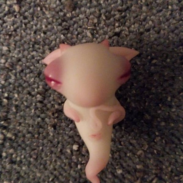 Polymer Clay Baby Dragon Embryo Sculpture - Fantasy Monster Spawn Fetus ...