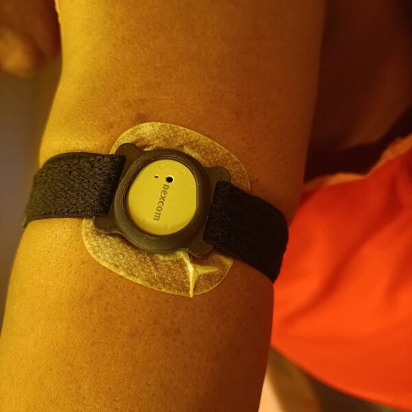 Freestyle Libre Sensor Armband Holder Guardian Protects Sensor Purple ...