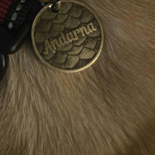 Brass Dog Tag, Personalized Brass Pet ID Tag, Custom Cat Tag, Unique ...