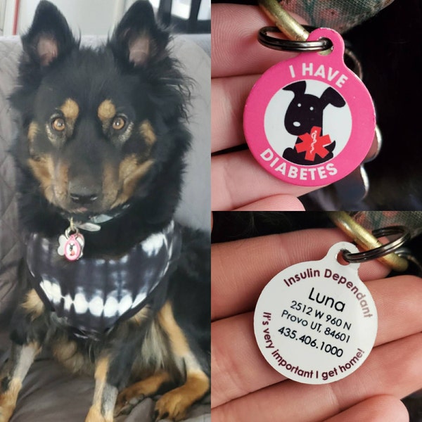 Medical ID Tag - I Have Diabetes Dog Medical Alert - Etsy
