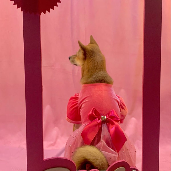 2D Layered Arch/ Party Backdrop/ Arch Wall/ Collapsible Arch Wall - Etsy