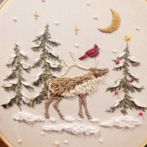 PDF Pattern 8 Caribou & Cardinal Bestselling Step by Step Beginner ...