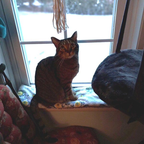 Window Sill Cat Pad/ 8 Sill Pad - Etsy