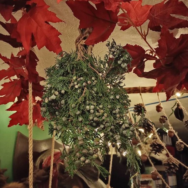 DIY Dried Floral Topiary Kit | You Create | Dried Florals and Herbs ...