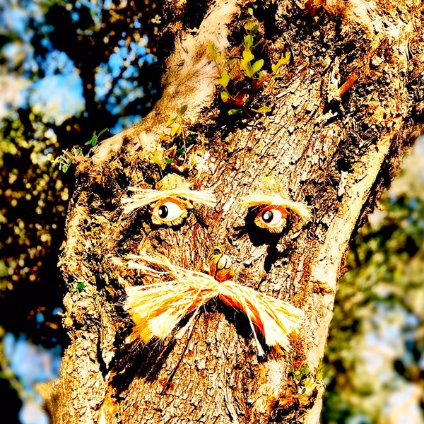 Moustached Tree Face Outdoor Garden Decoration, Sculpture, Statue ...